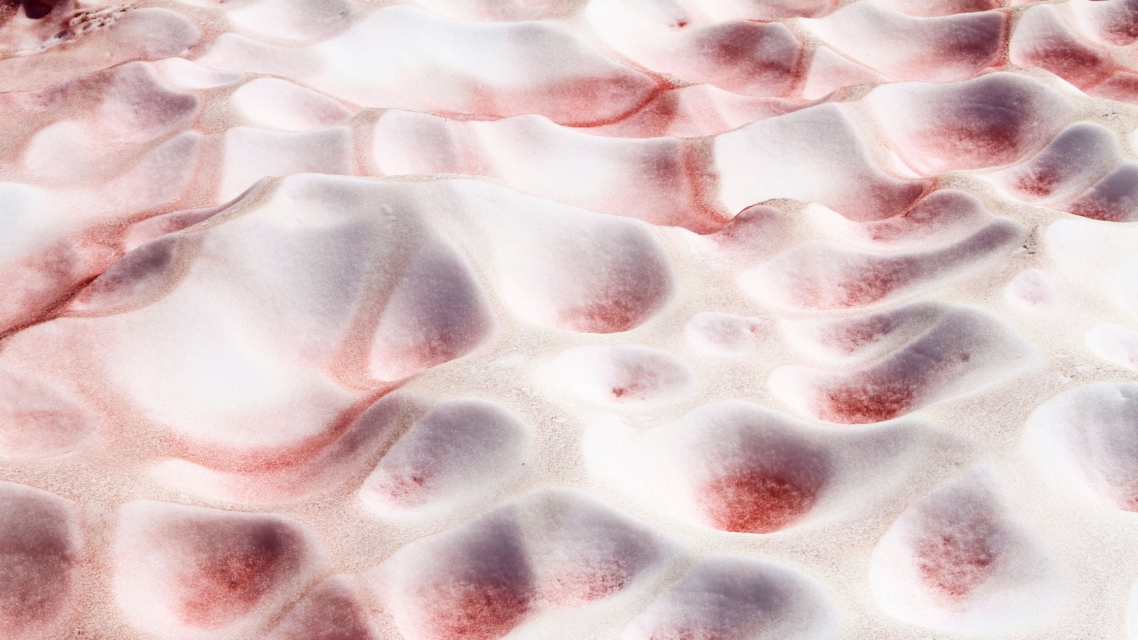 Snow Algae – OSKIA